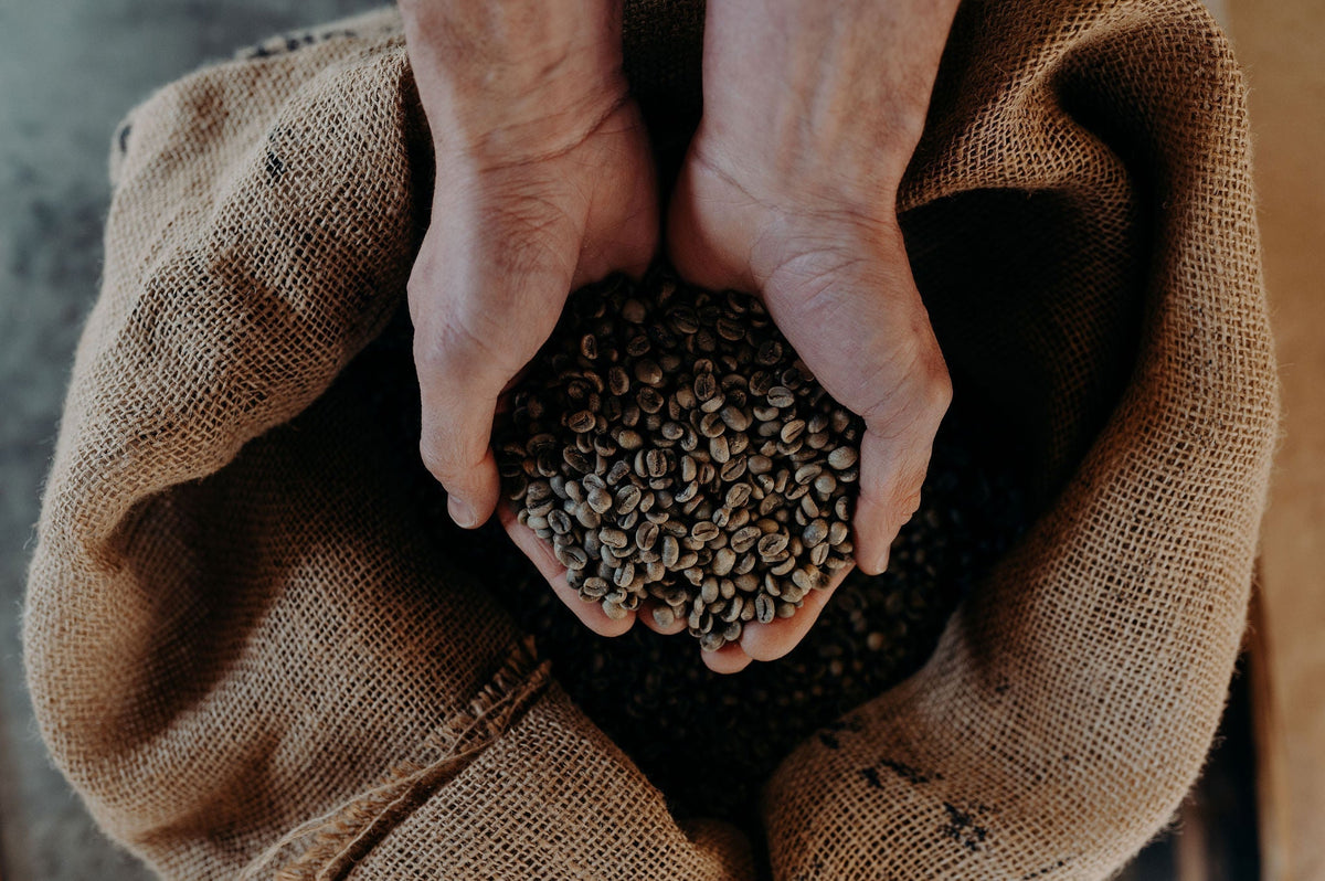 Why the Cost of Coffee Keeps Rising: What’s Driving the Price Hike in ...